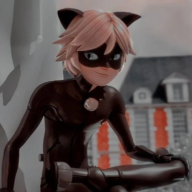 Who looks the best in the Cat Noir suit? | Fandom