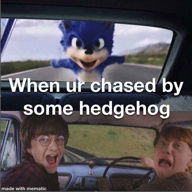 Hey Guys I hope u like dis HP meme | Fandom