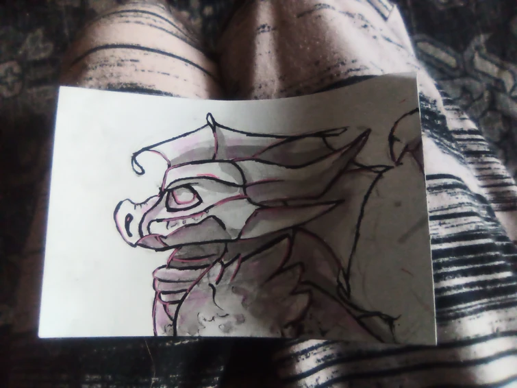 Discuss Everything About Wings of Fire Wiki | Fandom
