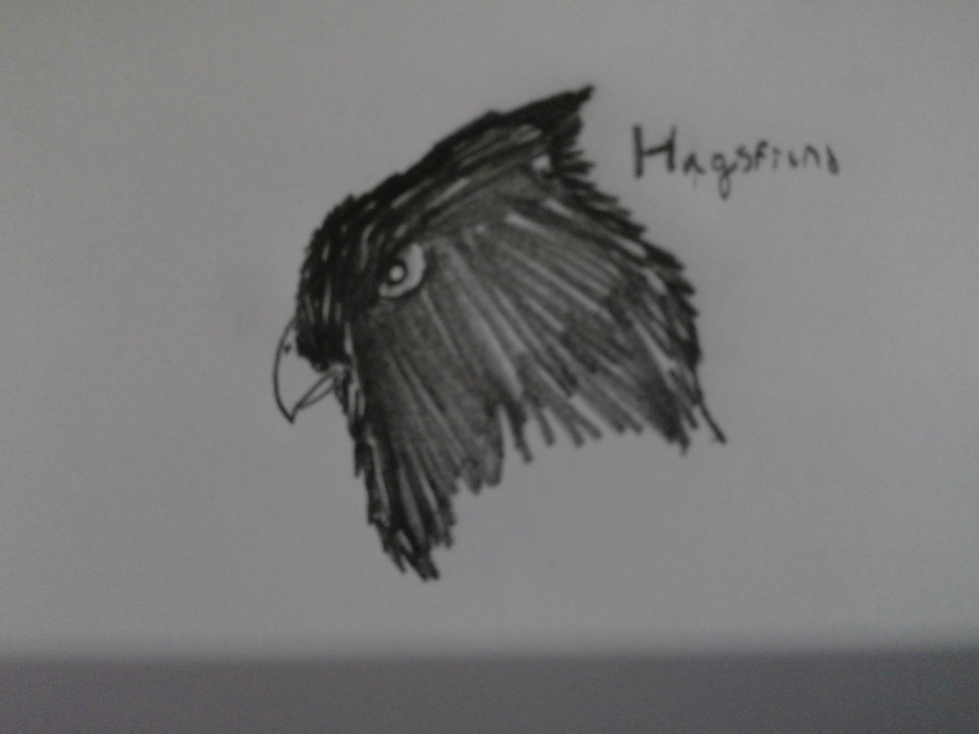 What does a hagsfiend look like? | Fandom