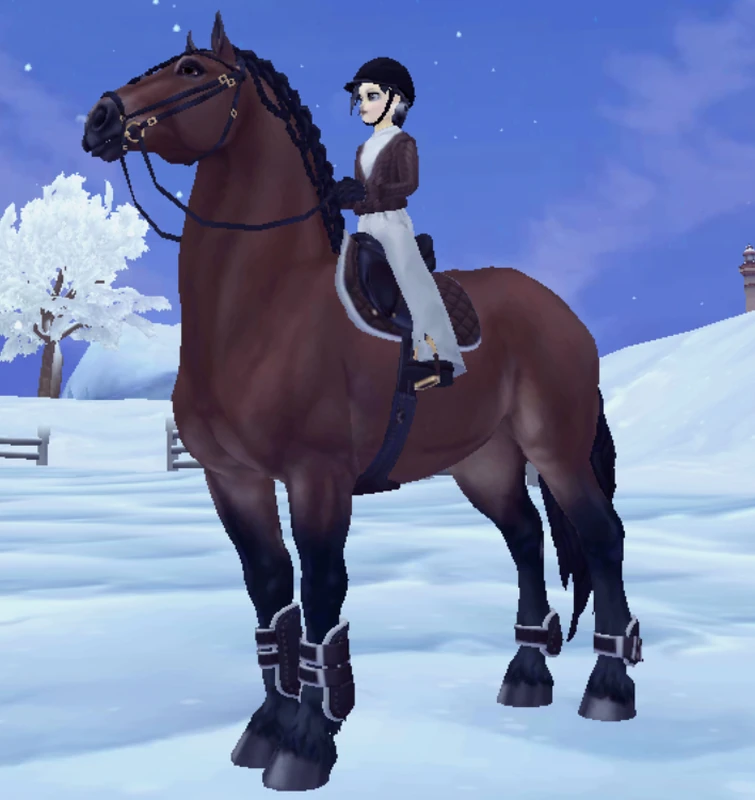Meet Bear, my new Percheron stallion! | Fandom
