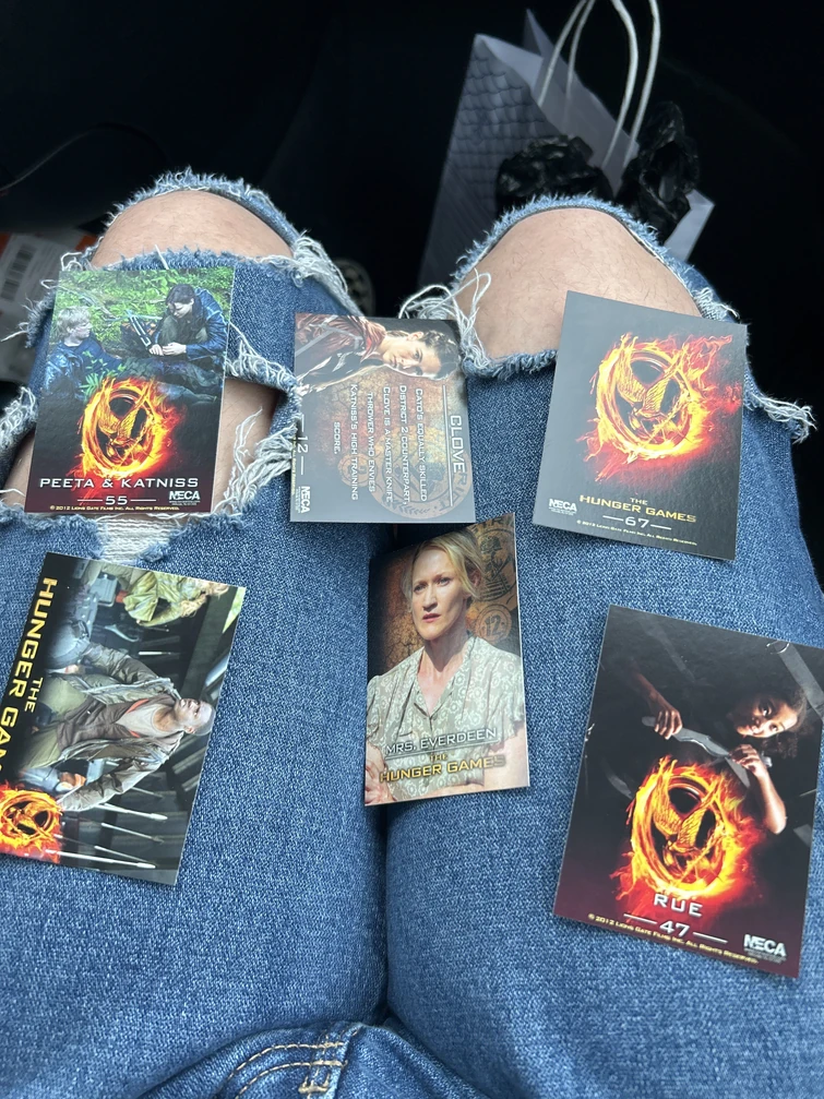 Discuss Everything About The Hunger Games Wiki | Fandom