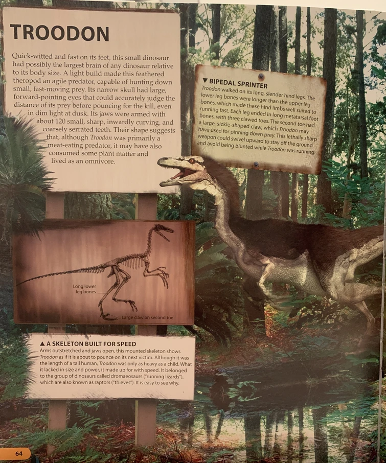 Discuss Everything About Dinopedia | Fandom