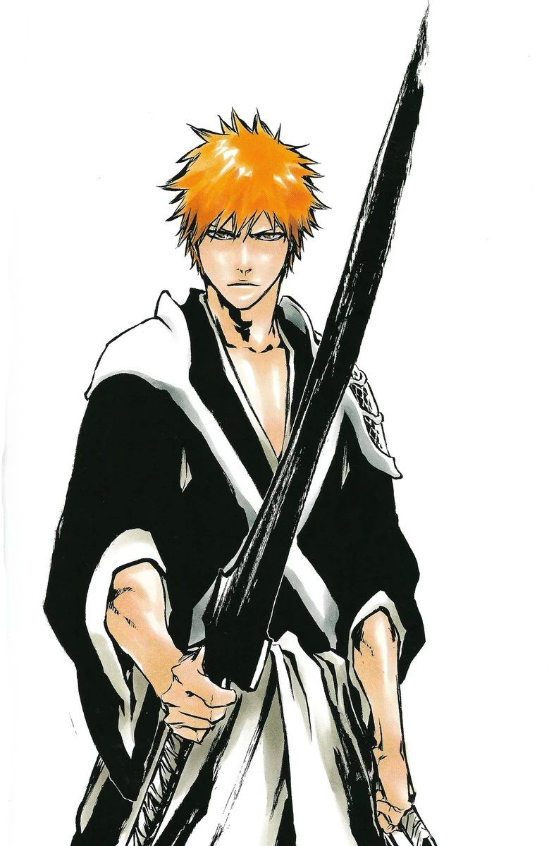 (True Bankai) The Ichigo Kurosaki Concept (SPOILERS) | Fandom