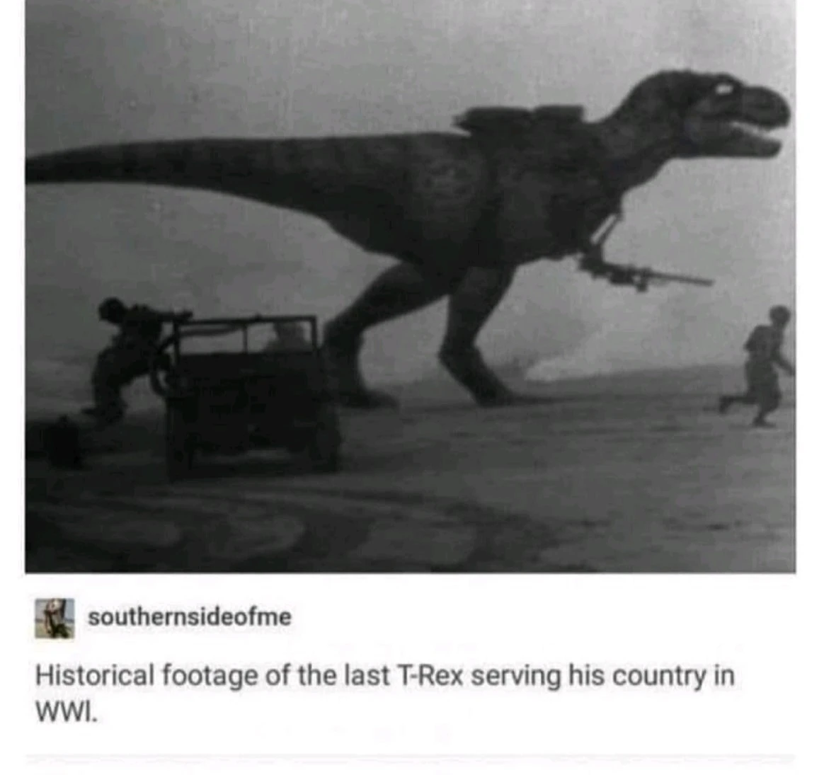 FUN FACT: Did you that the T-Rex fought with the Allies in WW1. | Fandom