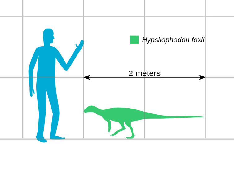 Which species should be in the Lab that Levine will encounter in my ...