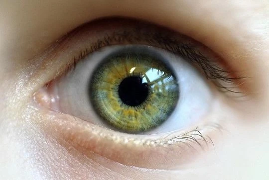 douxie's eyes | Fandom