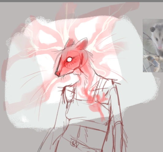 opossum | Fandom