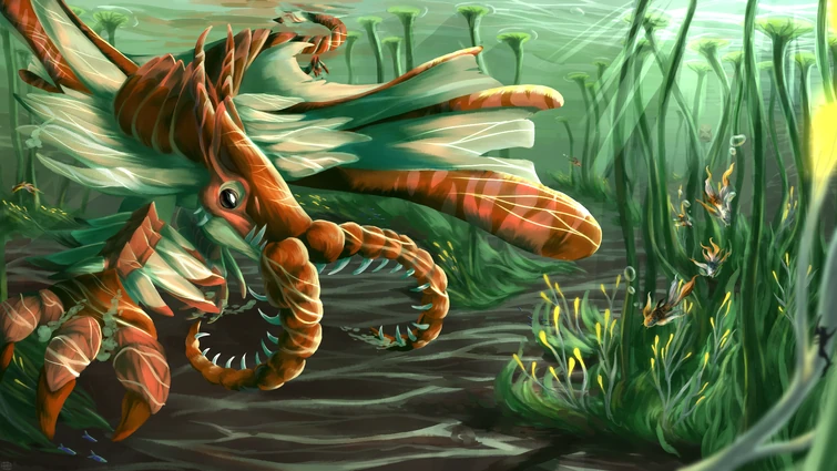 Shrimp thumbnail (hi hp) | Fandom