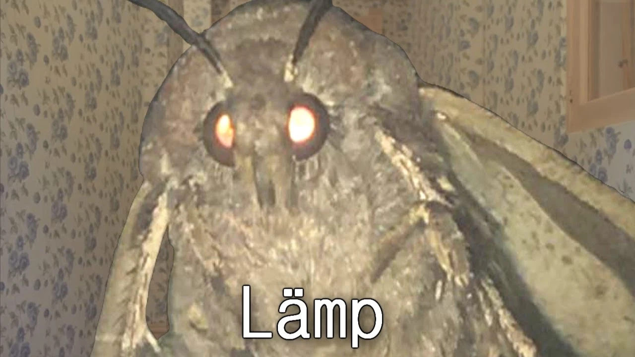 Lamp user inspiration | Fandom