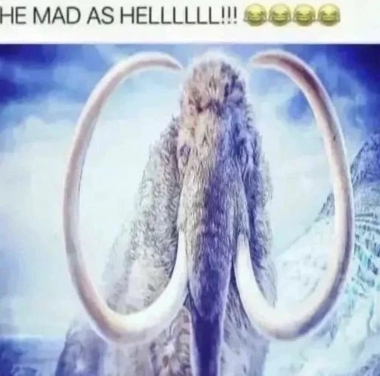 Pacedegon irl (TW: HE MAD AS HEEELLLLLL) | Fandom