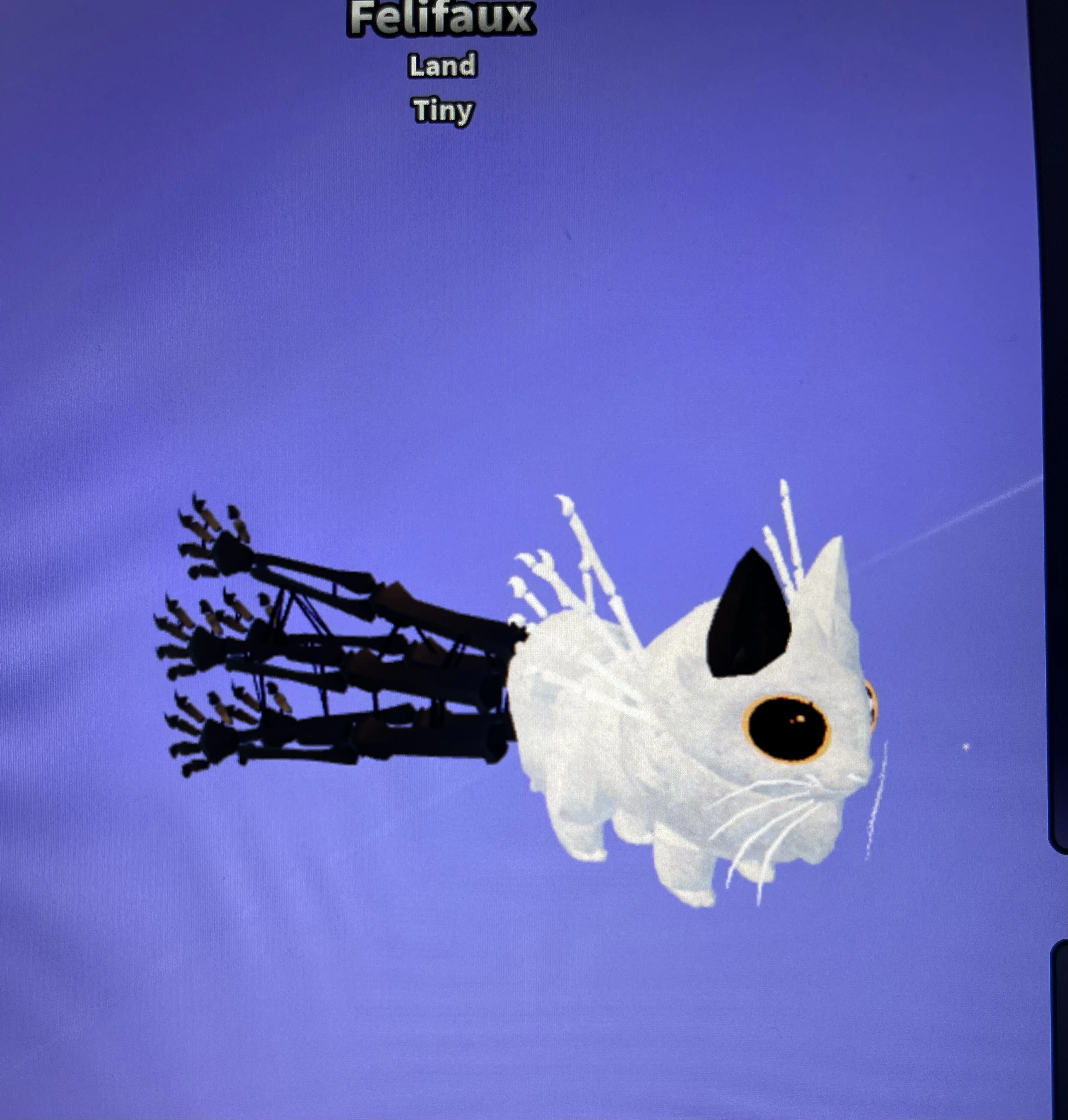 I made my felifaux look like my cat | Fandom