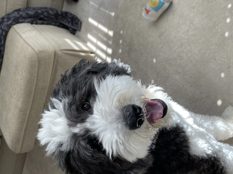 So yea this is msm related. | Fandom