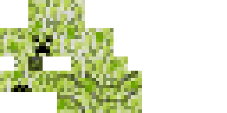 Textures for my creeper goobers | Fandom
