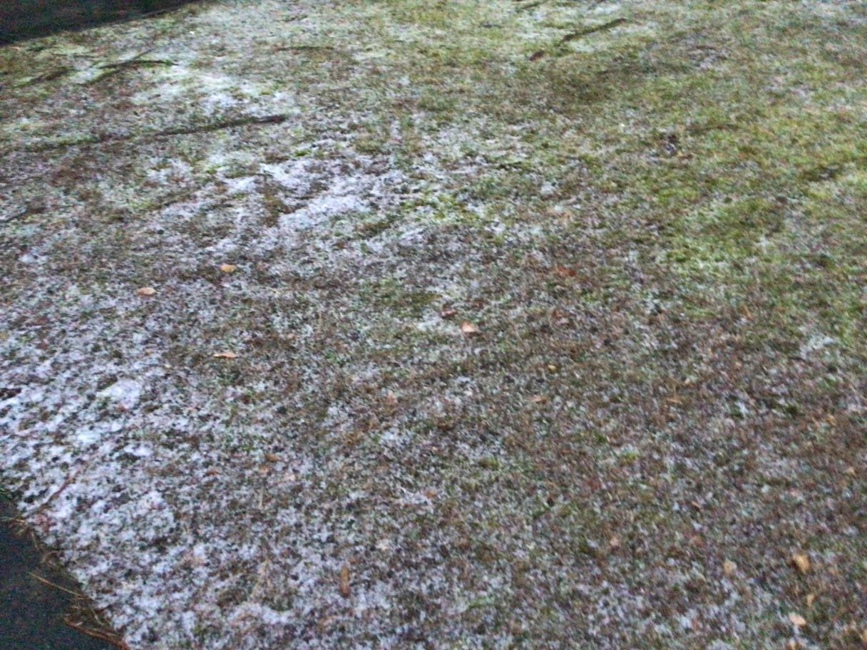 Snow | Fandom