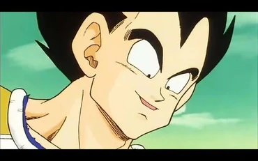Oddest Vegeta image competition | Fandom
