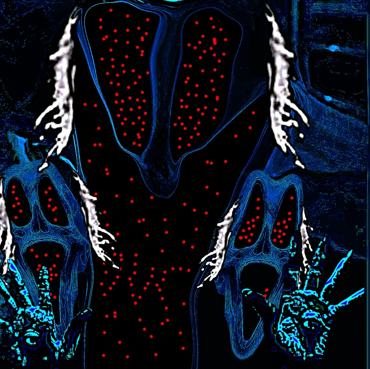 Some phase I made (PHASE 50 CLONE WARNING) | Fandom