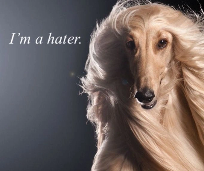 Buying revs | Fandom