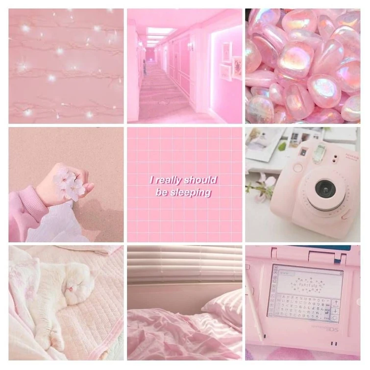 Blush pink base fill | Fandom