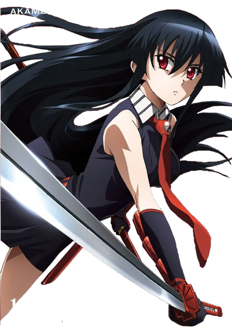 Who’s the best opponent for Akame (Akame Ga Kill)? | Fandom