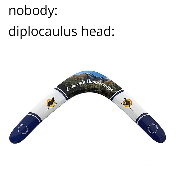 I made a diplocaulus meme | Fandom