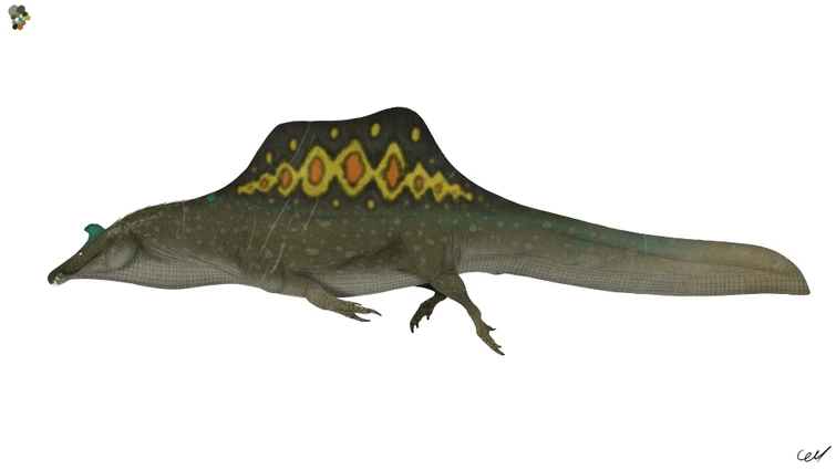The Spinosaurus's reconstruction by versions | Fandom