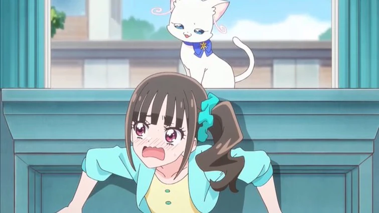 Wonderful PreCure has a cat Precure. So, I explain about Waneko ...