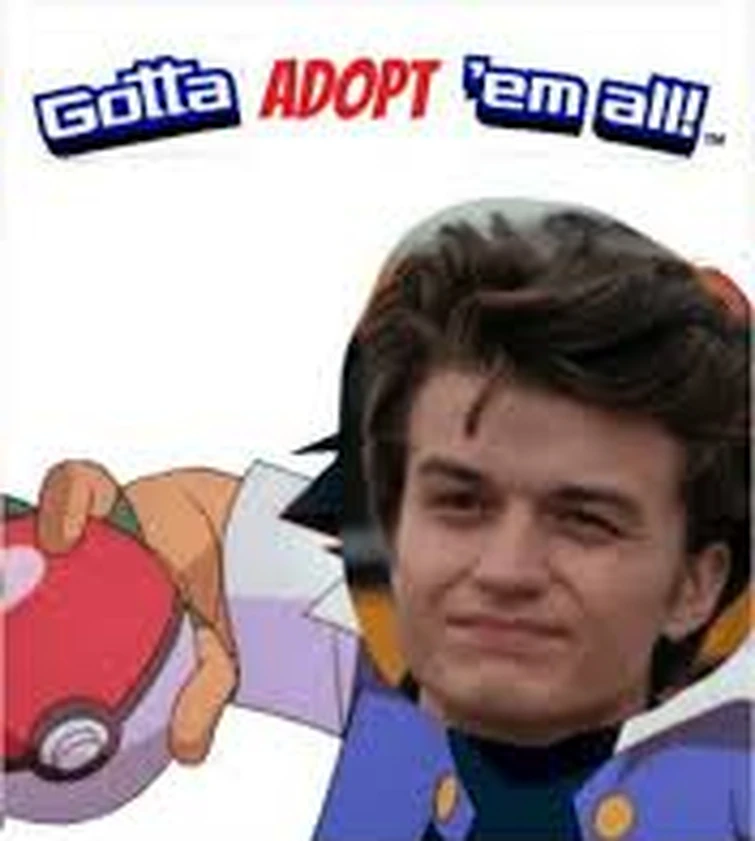 Random Steve meme :) | Fandom