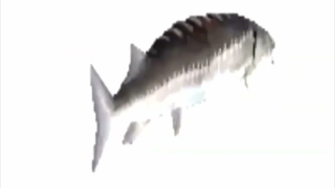 i am a fish now | Fandom