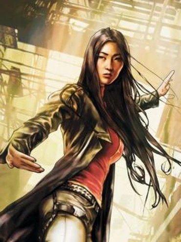 Lady Shiva Vs Elektra | Fandom