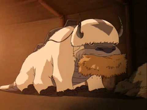 Appa is a good boy | Fandom