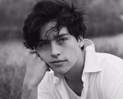 Discuss Everything About Twilight Saga Wiki | Fandom