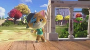 Lampo | 44 Cats Wiki | Fandom