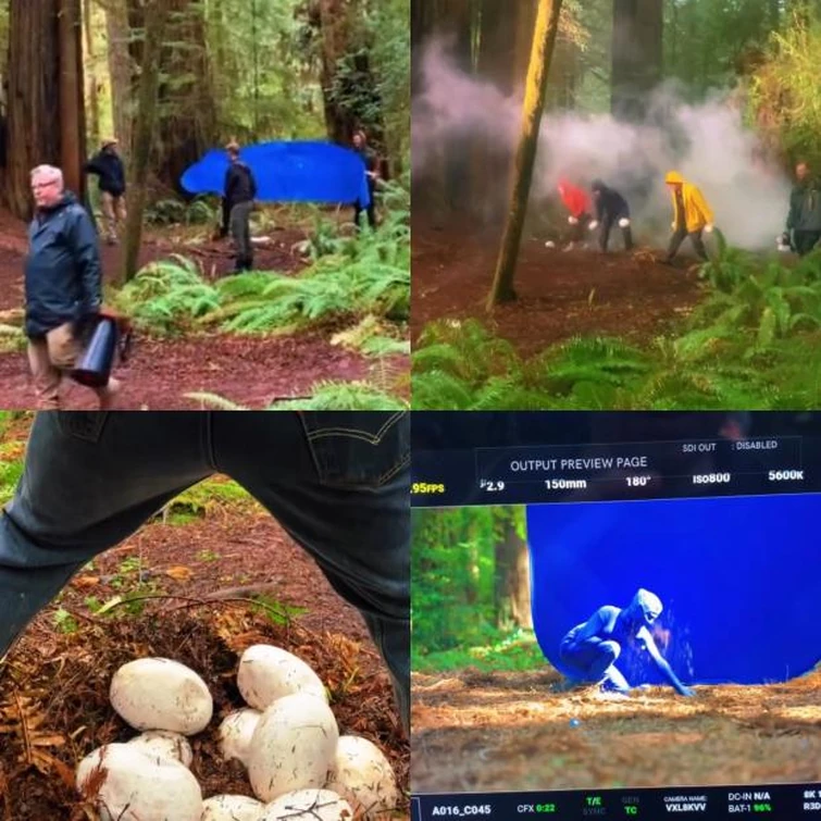 Discuss Everything About Dinopedia | Fandom