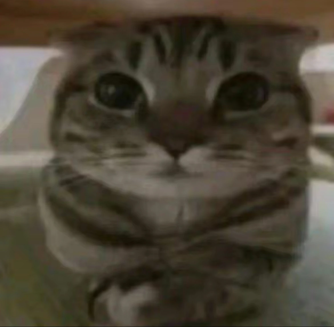 Sniff sniff…. | Fandom