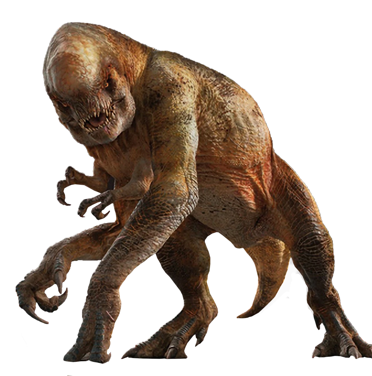 What is you’re guys honest opinion on the Distortus rex | Fandom