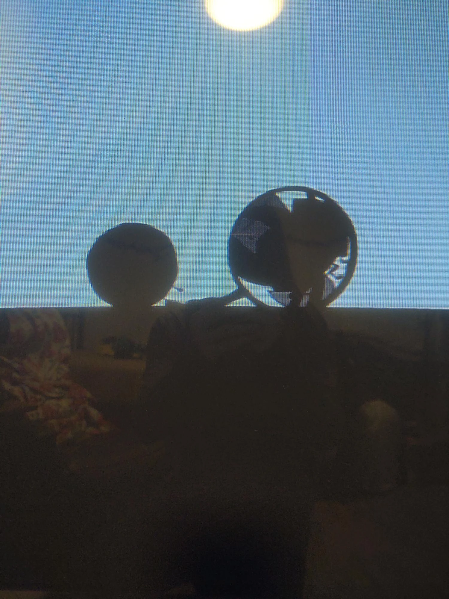 One must imagine Snowball happy | Fandom