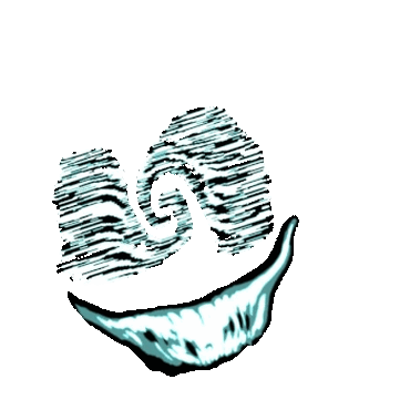 Zebra | Fandom