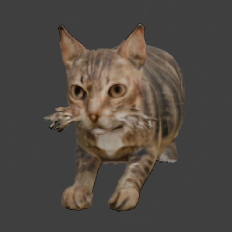 Oiia Oiia Cat (Youtube) | 442oons Wiki | Fandom