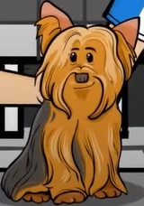 Terry the Terrier | 442oons Wiki | Fandom