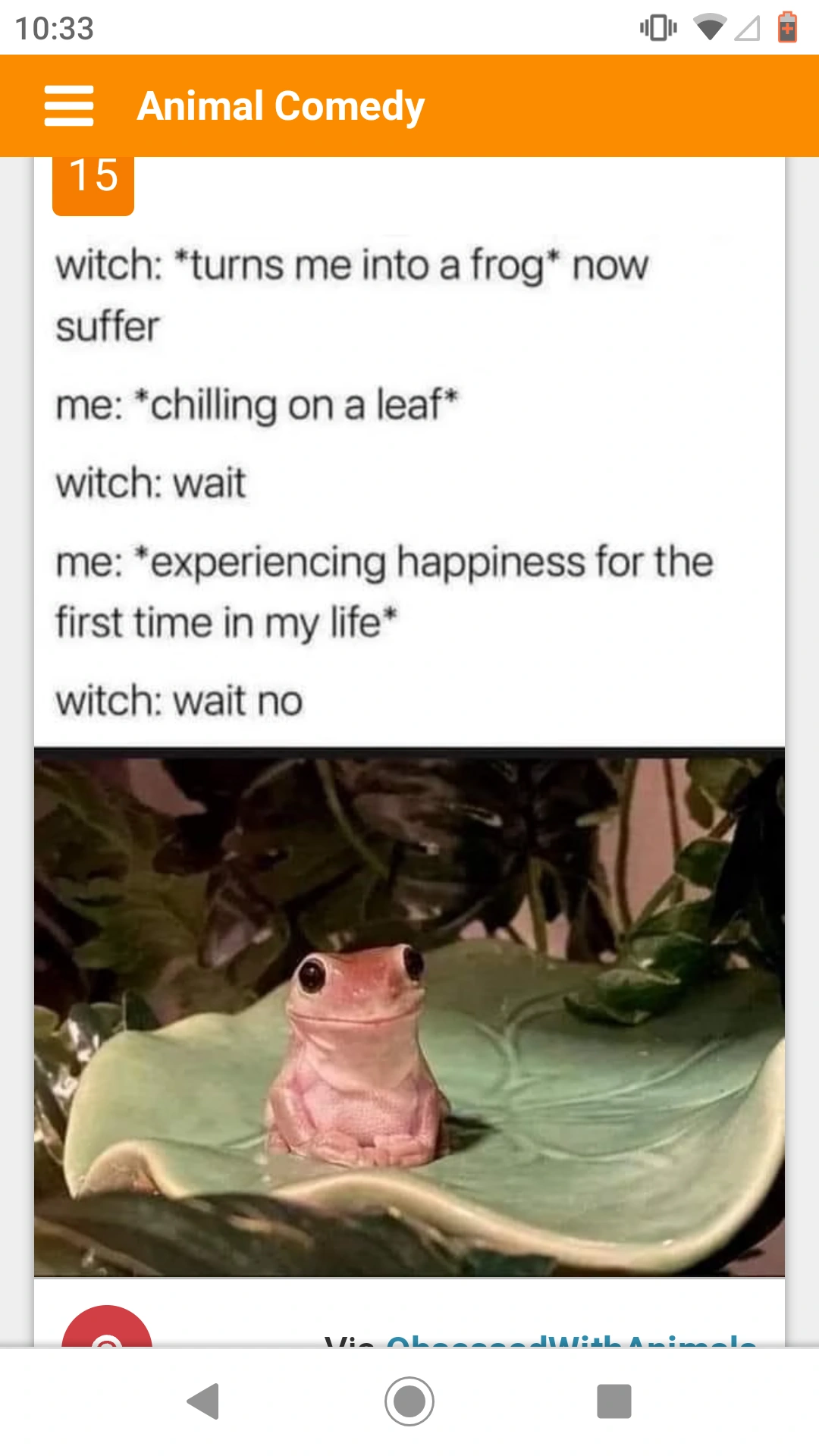 Frog 🐸 blep | Fandom