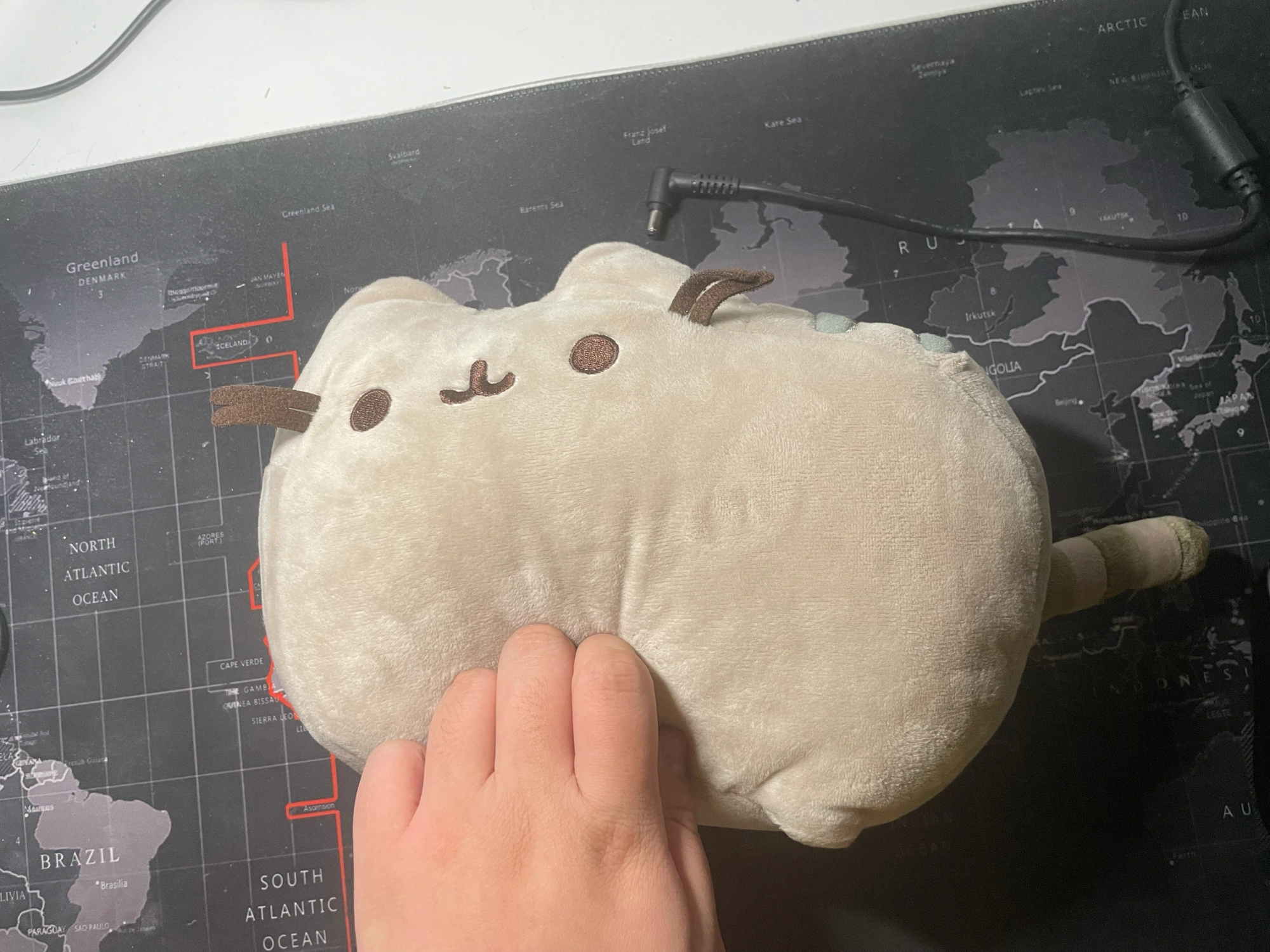 pusheen | Fandom