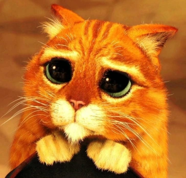 pls free neon legendary sigma tox | Fandom