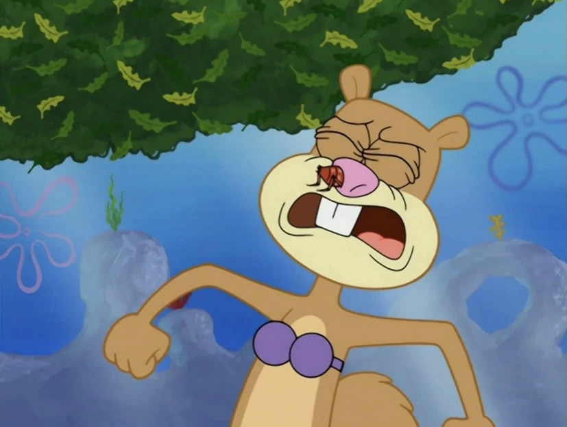 How does a flea get from Sandy’s nose to literally inside her eyes ...