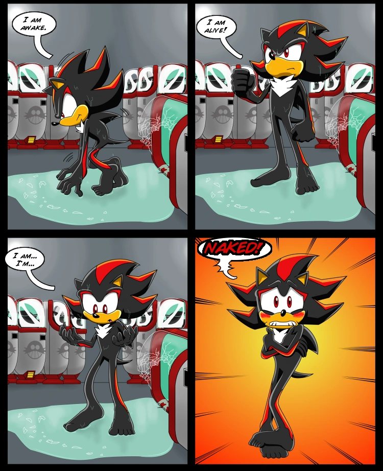 what really happened to shadow when he got awake from Cryosleep or ...