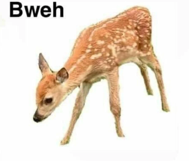 Repost bc im proud of this still kinda | Fandom