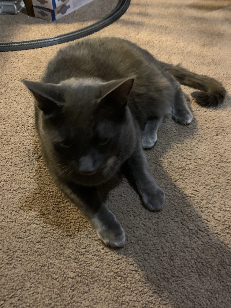 another secret | Fandom