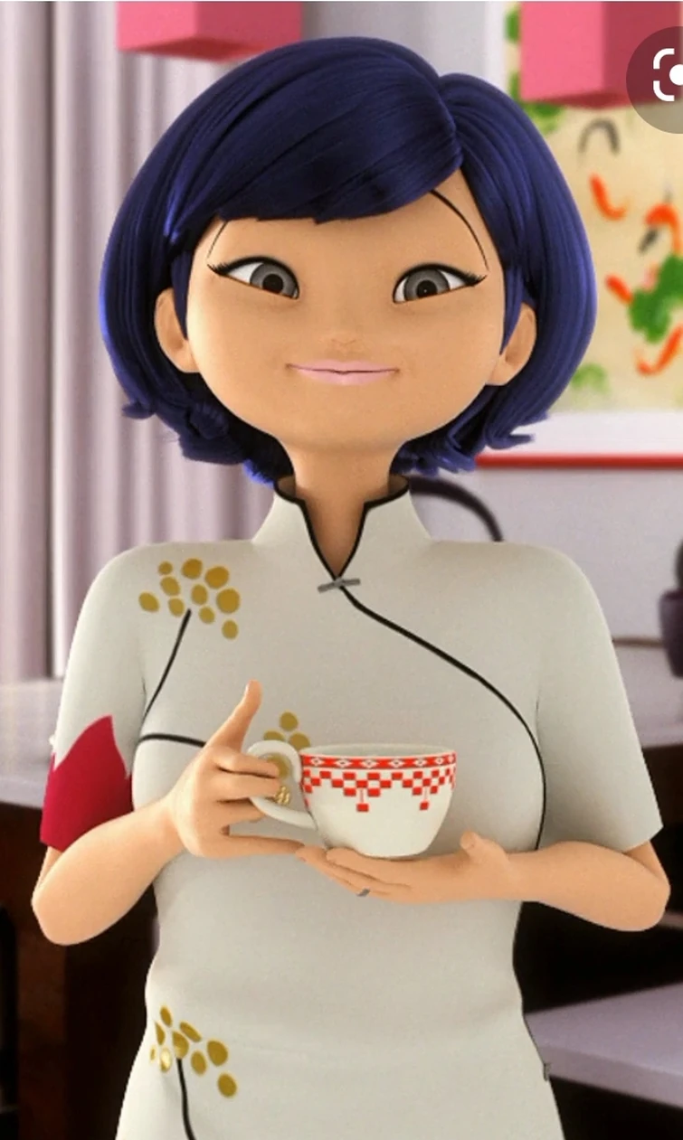 Marinettes Identity | Fandom