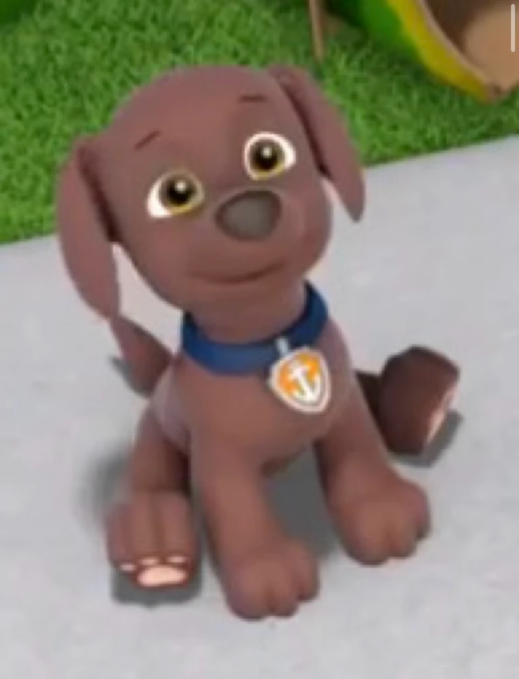 Zuma Sitting | Fandom