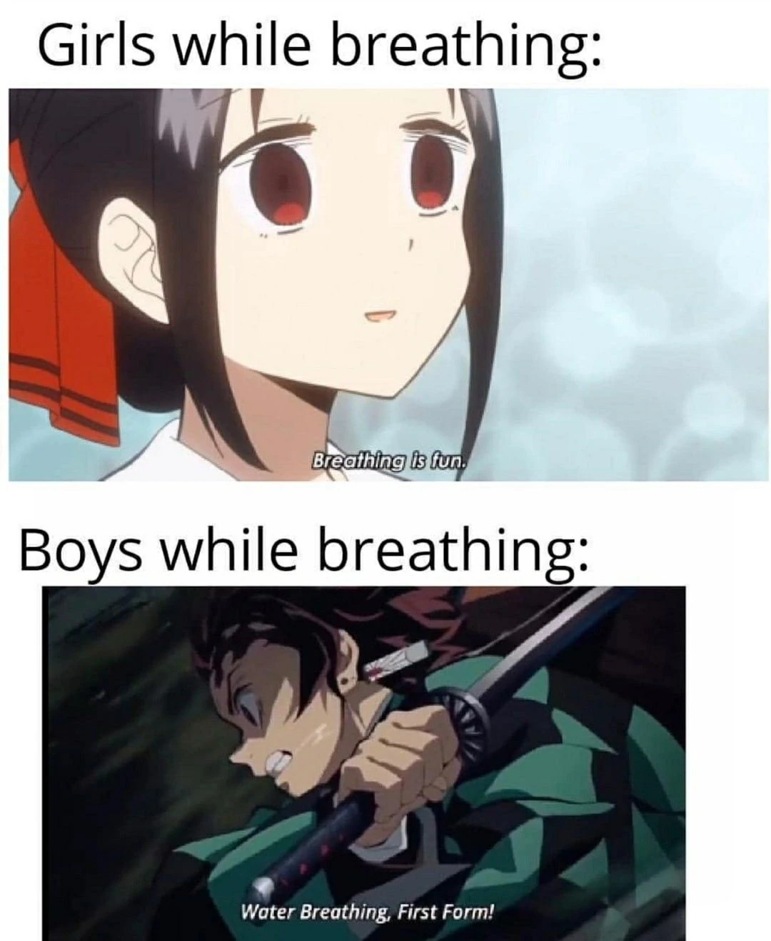 Meme | Fandom